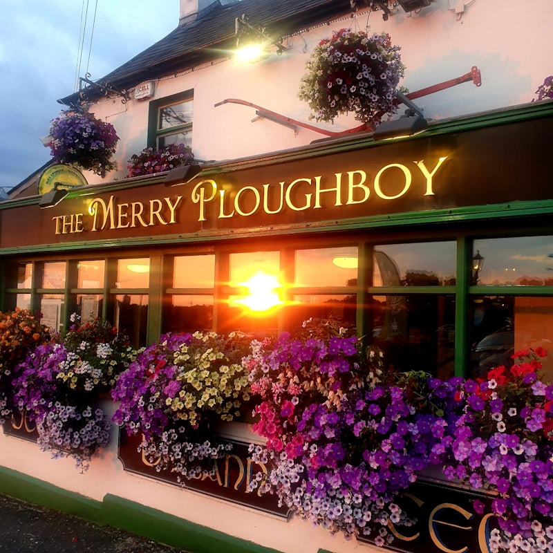 MERRY PLOUGHBOY TRADITIONAL NIGHT + SHUTTLE BUS (ROUND TRIP) - Ireland ...